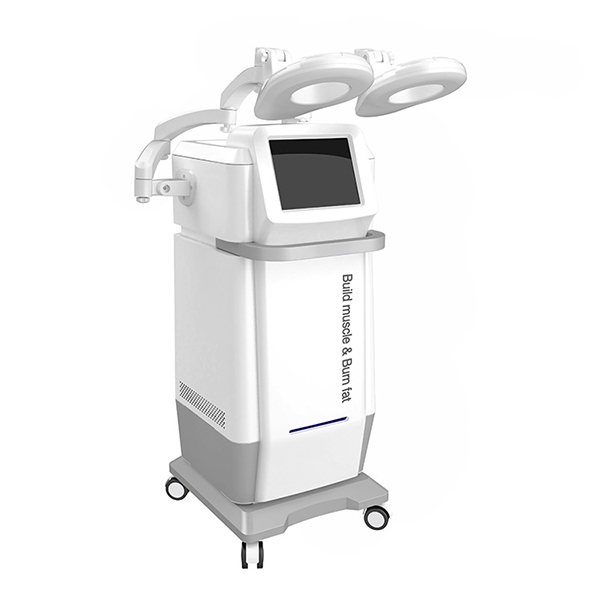 PEMF High Inteity Electromagnetic Ems Muscle Building Stimulator Fat ...